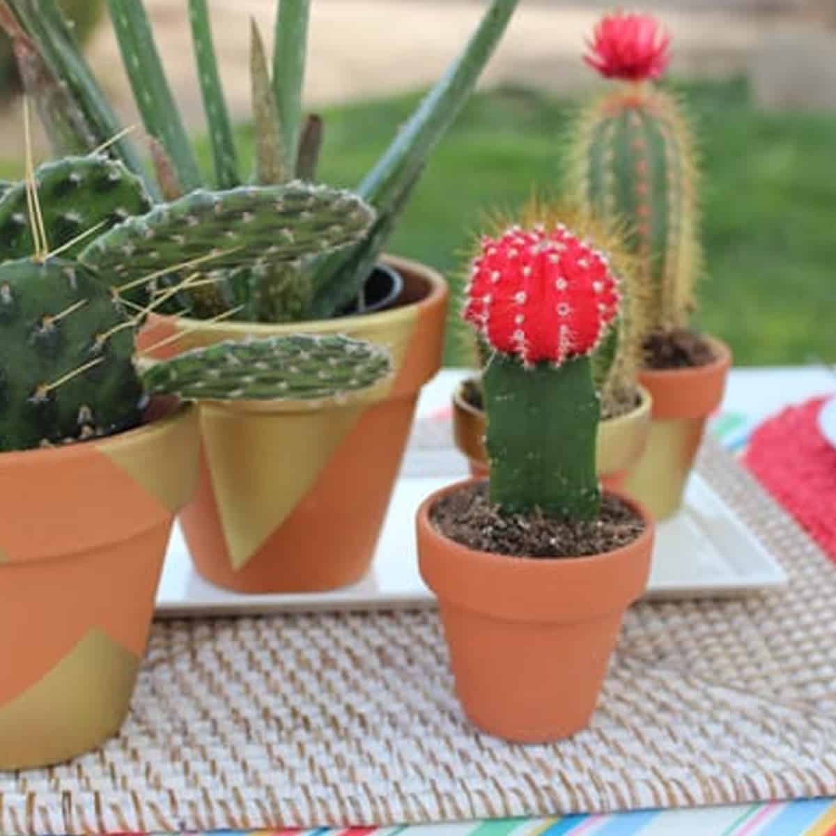 Cinco de Mayo Centerpieces – So Easy! | Thoughtfully Simple