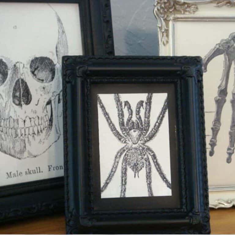 Halloween Picture Frame - Spooky Decor | Thoughtfully Simple